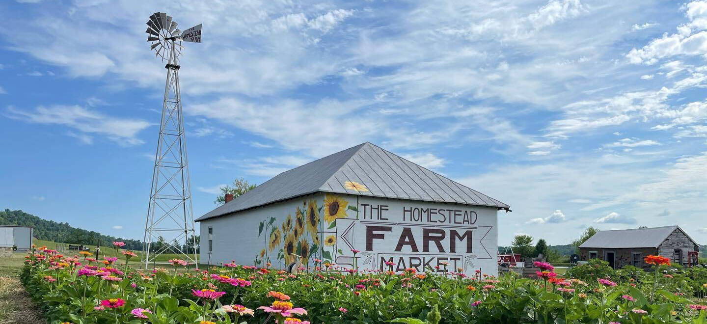 Welcome to our Farm!